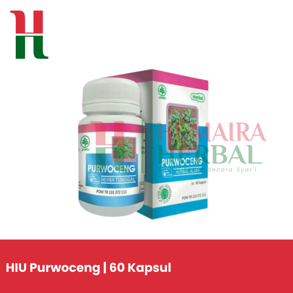 Jual HIU PURWOCENG | 100% ASLI ORIGINAL | 60 KAPSUL | Shopee Indonesia
