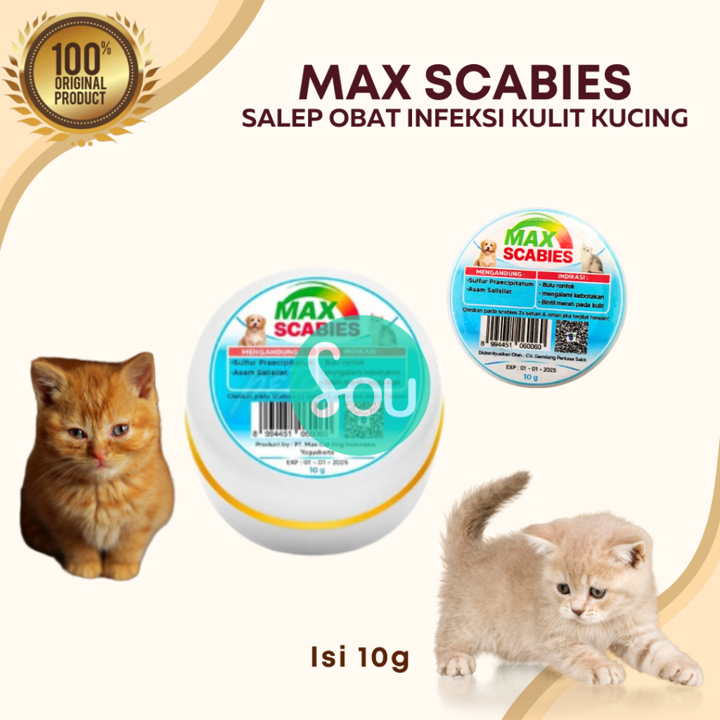 Jual Salep Kulit Kucing Oles MAX SCABIES Obat Infeksi Kulit Kucing Obat ...