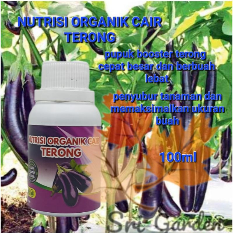 Jual Pupuk terong agar cepat besar dan berbuah lebat pupuk booster terong cair tanaman terong ...