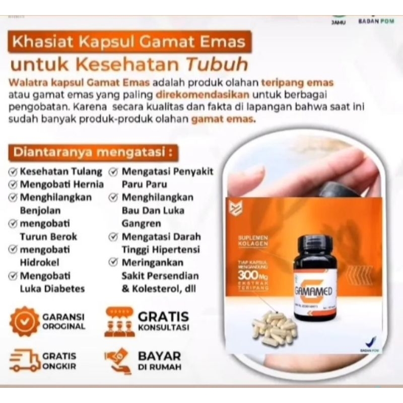 Jual GAMAMED/TERIPANG LAUT/VITAMIN HERBAL/VITAMIN TUBUH ISI 50 KAPSUL ...