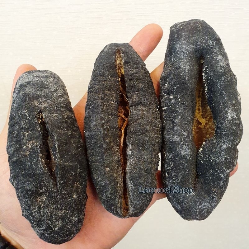 Jual HAISOM TUBOSOM HITAM SUPER KERING ( 1 KILO JADI 4-5 KG ...