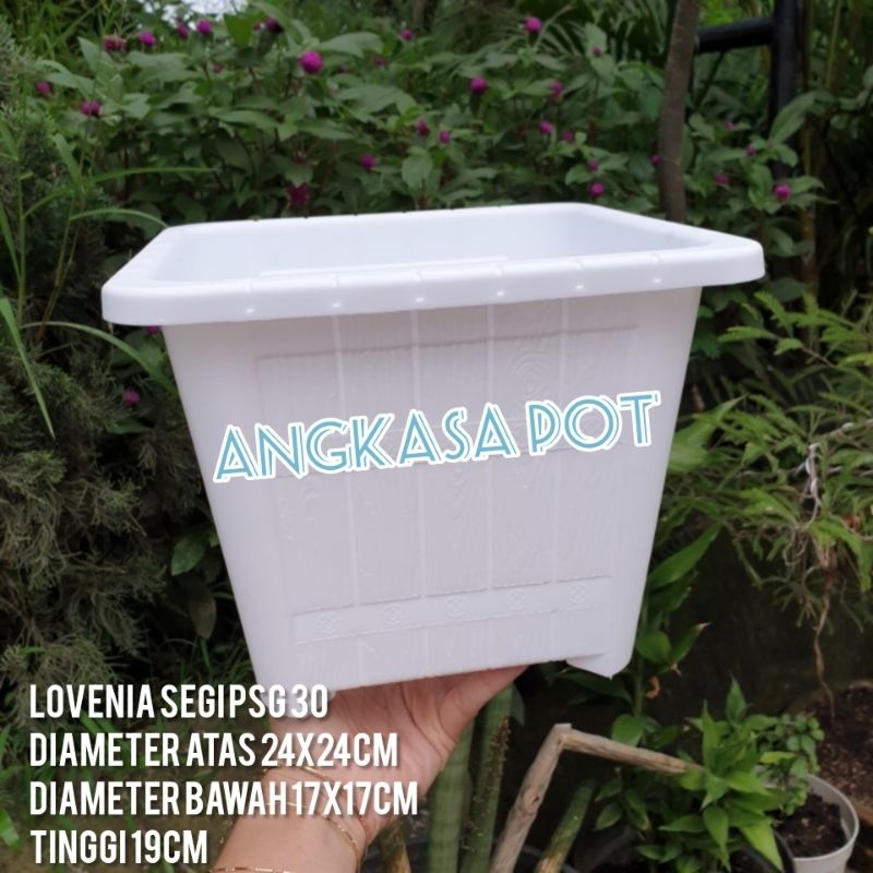 Jual Pot tanaman LOVENIA SEGI PSG 30 Pot Kotak Persegi Pot Motif ...