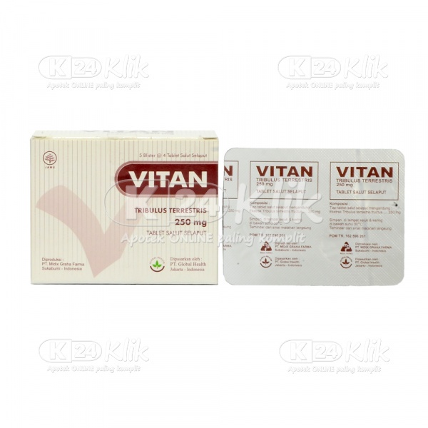 Jual Vitan 250mg Tablet (per Strip) | Shopee Indonesia