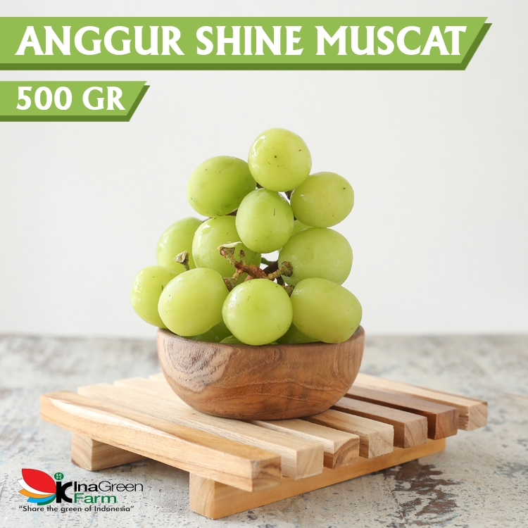 Jual Inagreen Farm Bandung Buah Anggur Hijau Shine Muscat Premium 500 ...