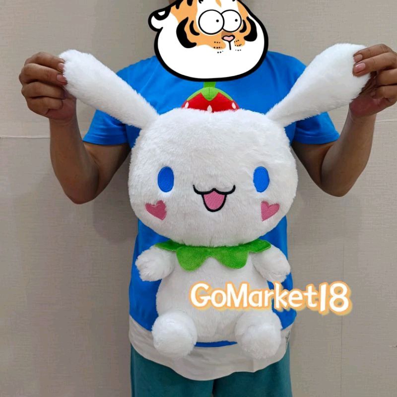 Jual Bantal dan Boneka Sanrio Kuromi My Melody Cinnamoroll Pompompurin Rainbow Lembut Soft ...