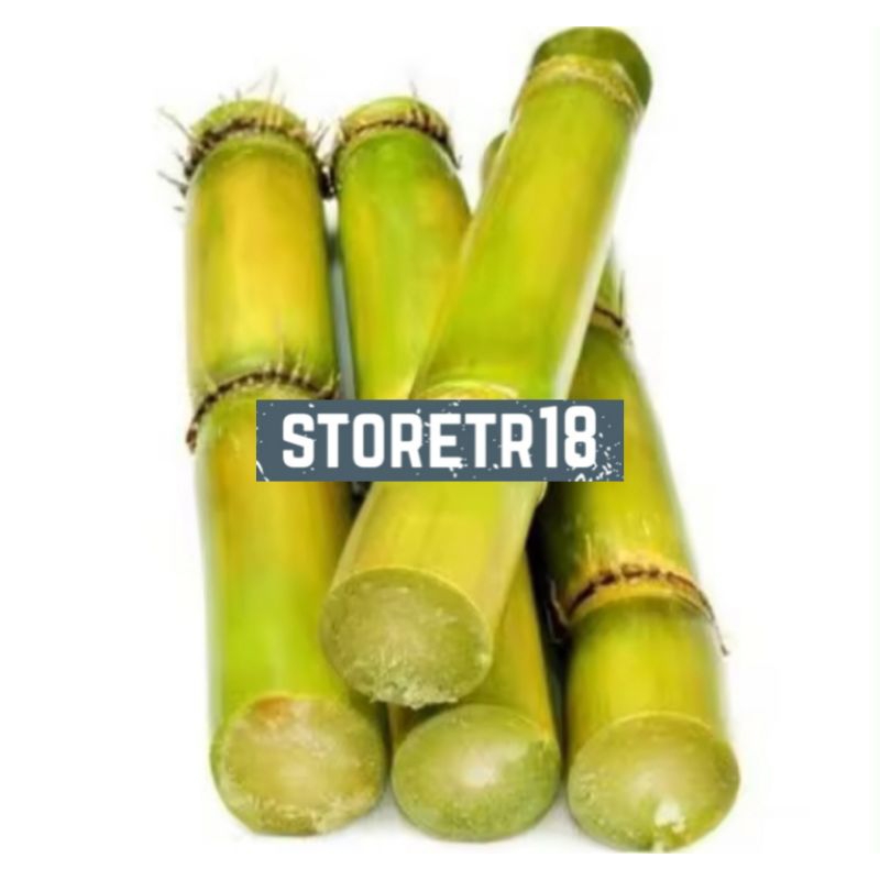 Jual Batang Tebu Hijau Segar Per 1 Kg | Shopee Indonesia