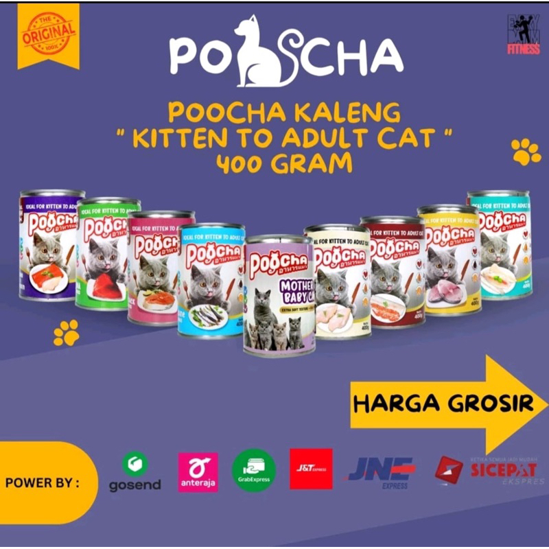 Jual POOCHA- MAKANAN KUCING BASAH- KALENG 400 GR GRAM | Shopee Indonesia