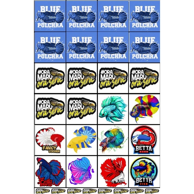 Jual Stiker ikan cupang dan cana bahan hologram | Shopee Indonesia