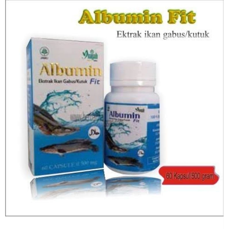 Jual kapsul albumin fit ikan gabus penyembuh luka | Shopee Indonesia