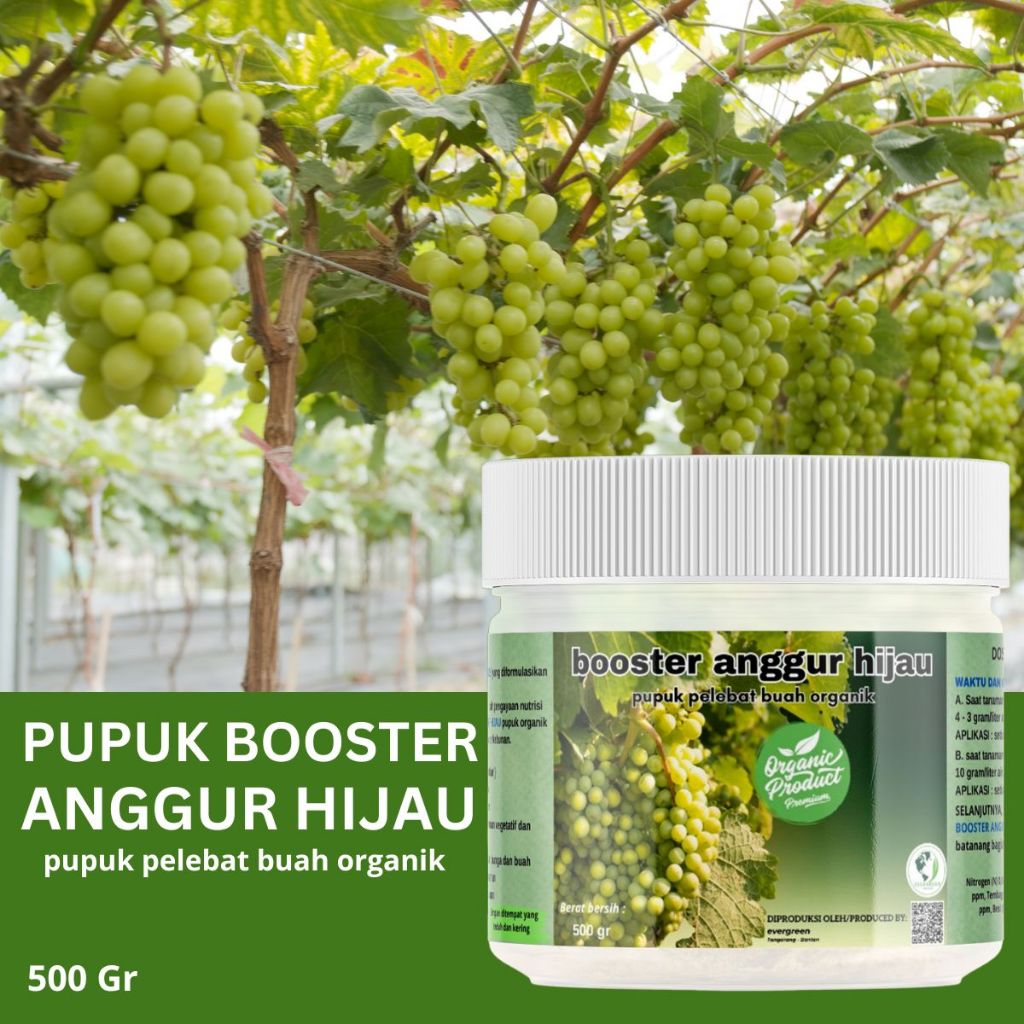 Jual Pupuk Booster Anggur hijau 500gr Cepat Berbuah Lebat Pupuk ...
