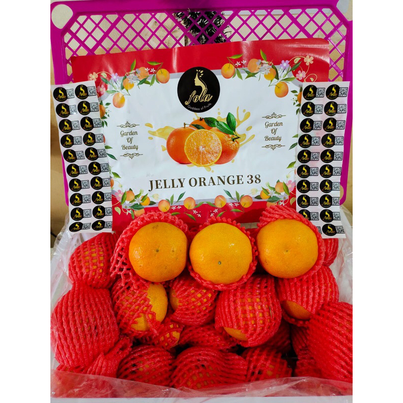 Jual jeruk aiyuan | Shopee Indonesia