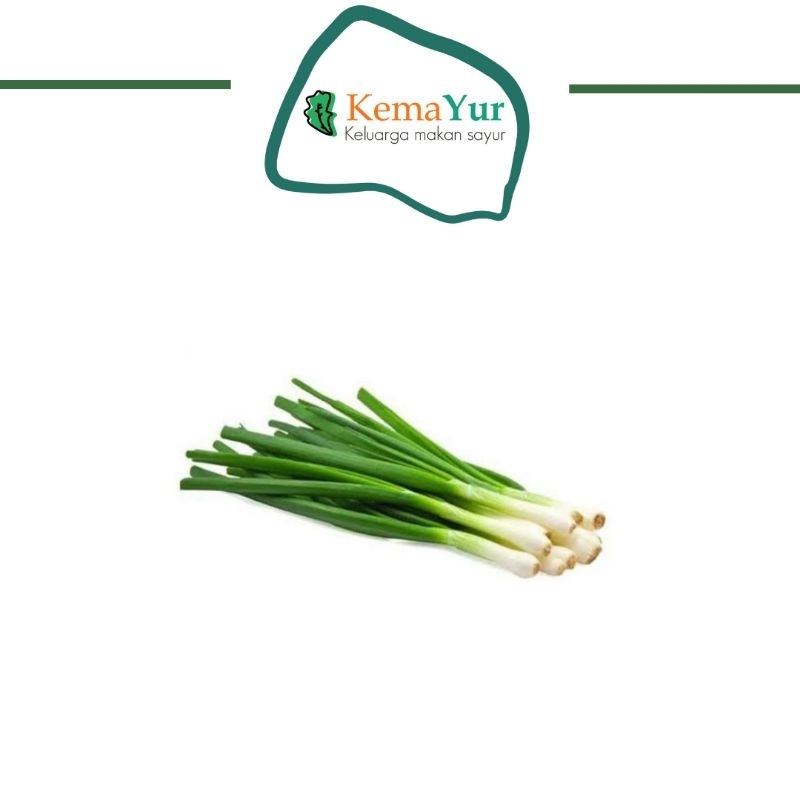 Jual DAUN BAWANG PRE 200GR | Shopee Indonesia