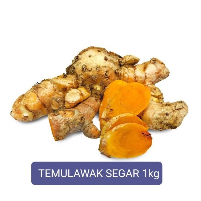 Jual TEMULAWAK SEGAR 1kg | TEMULAWAK FRESH 1Kg | TEMULAWAK ORGANIK ...