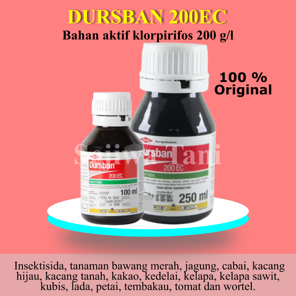 Jual Dursban 200 EC 100 ml dan 250 ml, Insektisida Klopirifos 200 g/l ...