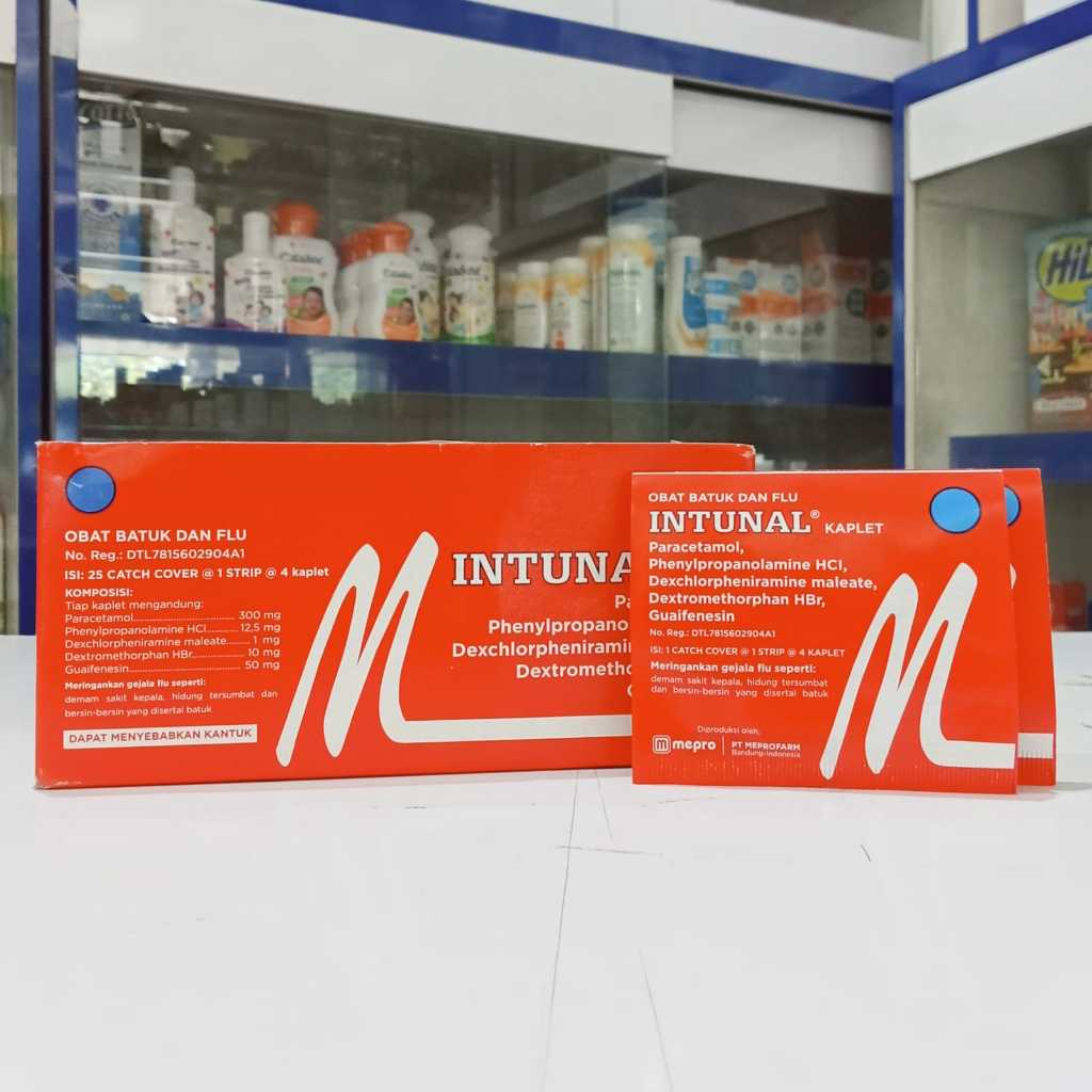 Jual INTUNAL Obat Batuk dan Flu isi 4 kaplet | Shopee Indonesia