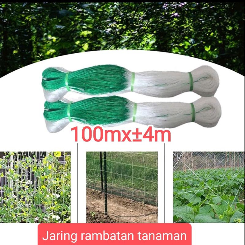 Jual Jaring rambatan tanaman 100mx4m jaring pertanian net jaring rambatan | Shopee Indonesia