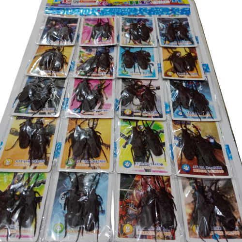Jual Mainan Kecoa Lembaran Isi (2x20) Pcs | Shopee Indonesia