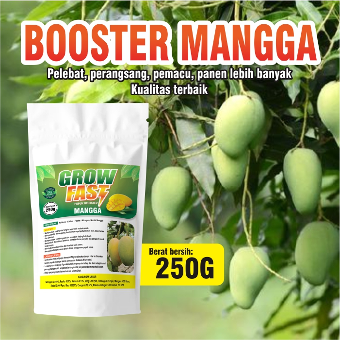 Jual Pupuk Booster Mangga (250gr) I pupuk organik pelebat tanaman I pupuk organik perangsang ...
