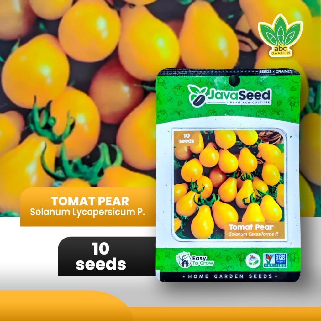 Jual [10 seeds] Benih Tomat Mini Kuning Yellow Pear Tomatoes Cherry ...