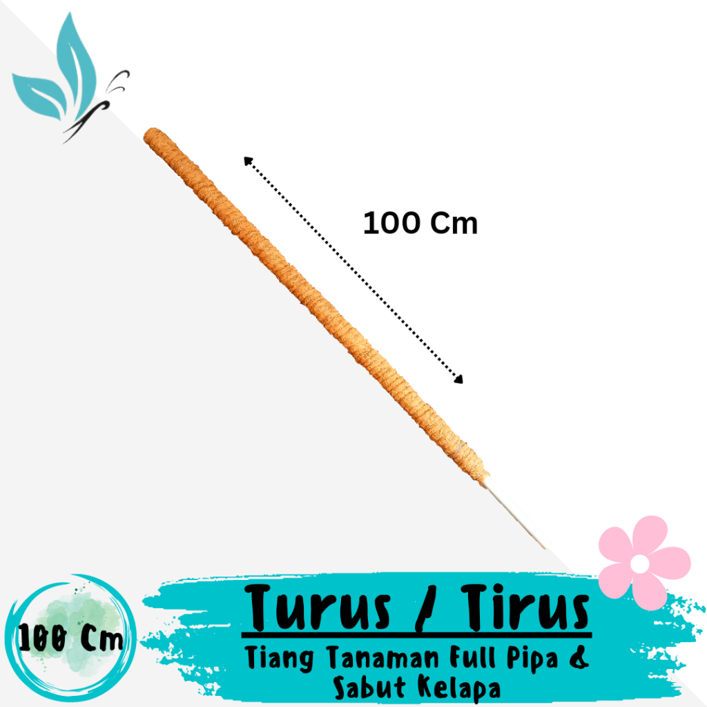 Jual Turus Rambatan Tanaman Bunga Rambat 100cm Tiang Tirus Pipa Sabut ...