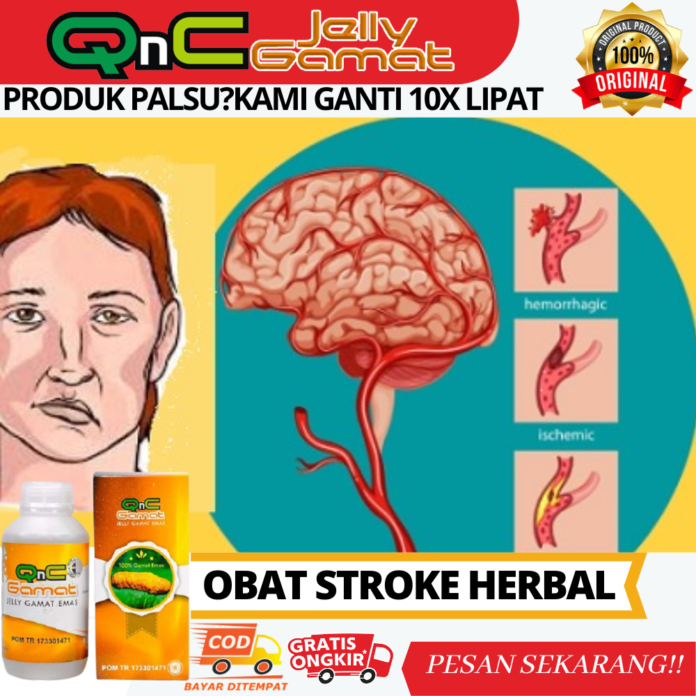 Jual Obat Stroke Herbal, Obat Stroke Ringan, Obat Strok Sebelah Kanan ...