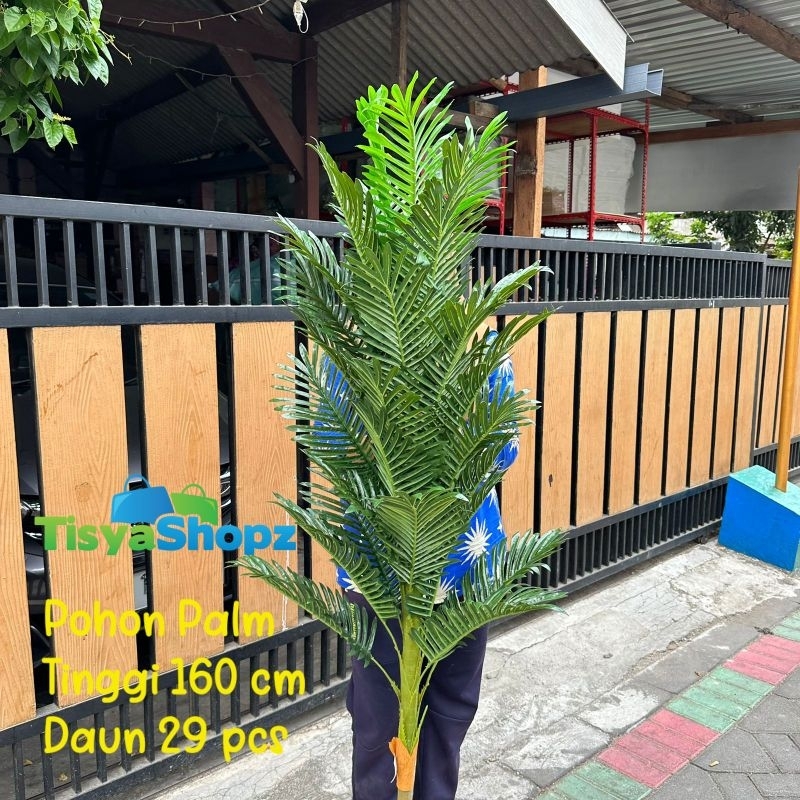 Jual POHON PALM TINGGI 1.25 METER ( POT DIJUAL TERPISAH ) | Shopee ...