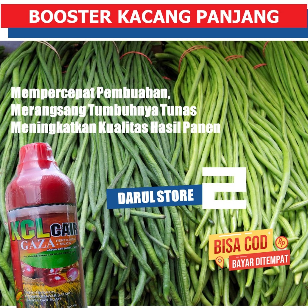 Jual PUPUK BOOTER KACANG PANJANG BIAR LEBAT Tumbuh Cepat Besar dan ...