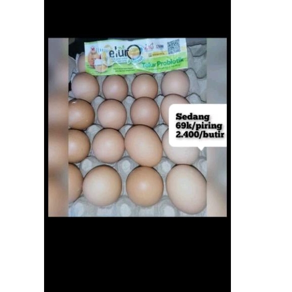 Jual Telur Probiotik Grade B(sedang) | Shopee Indonesia