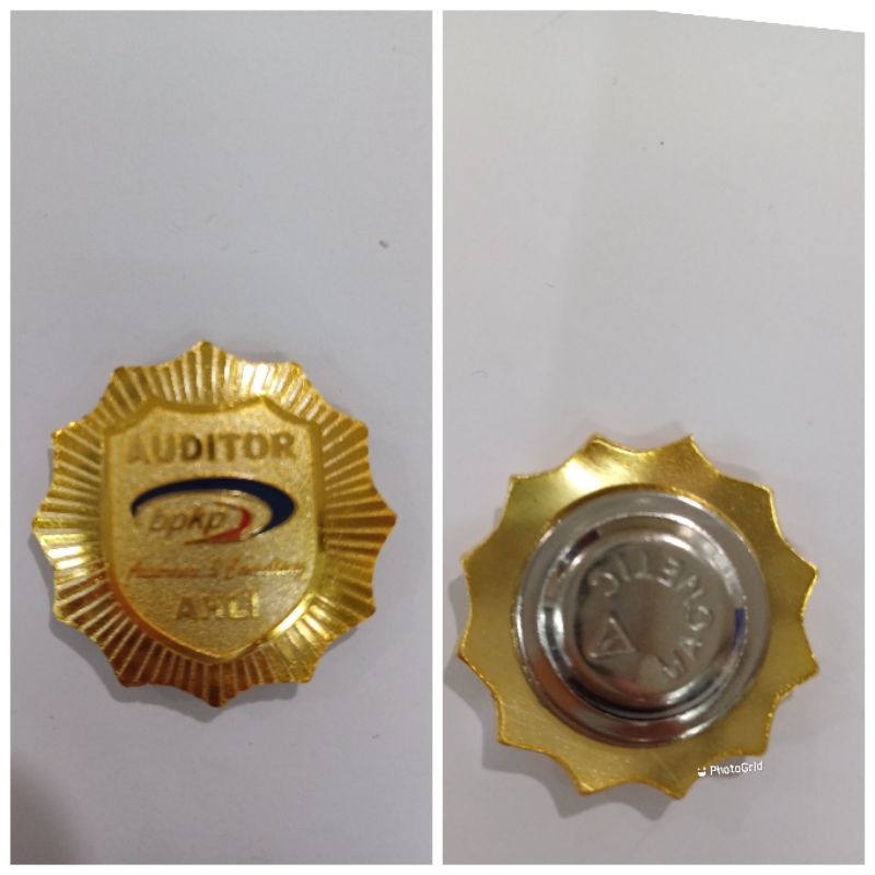 Jual PIN BROS AUDITOR AHLI #PIN BPKP | Shopee Indonesia