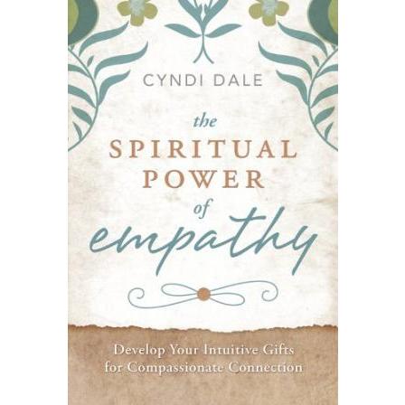 Jual The Spiritual Power of Empathy Cyndi Dale | Shopee Indonesia
