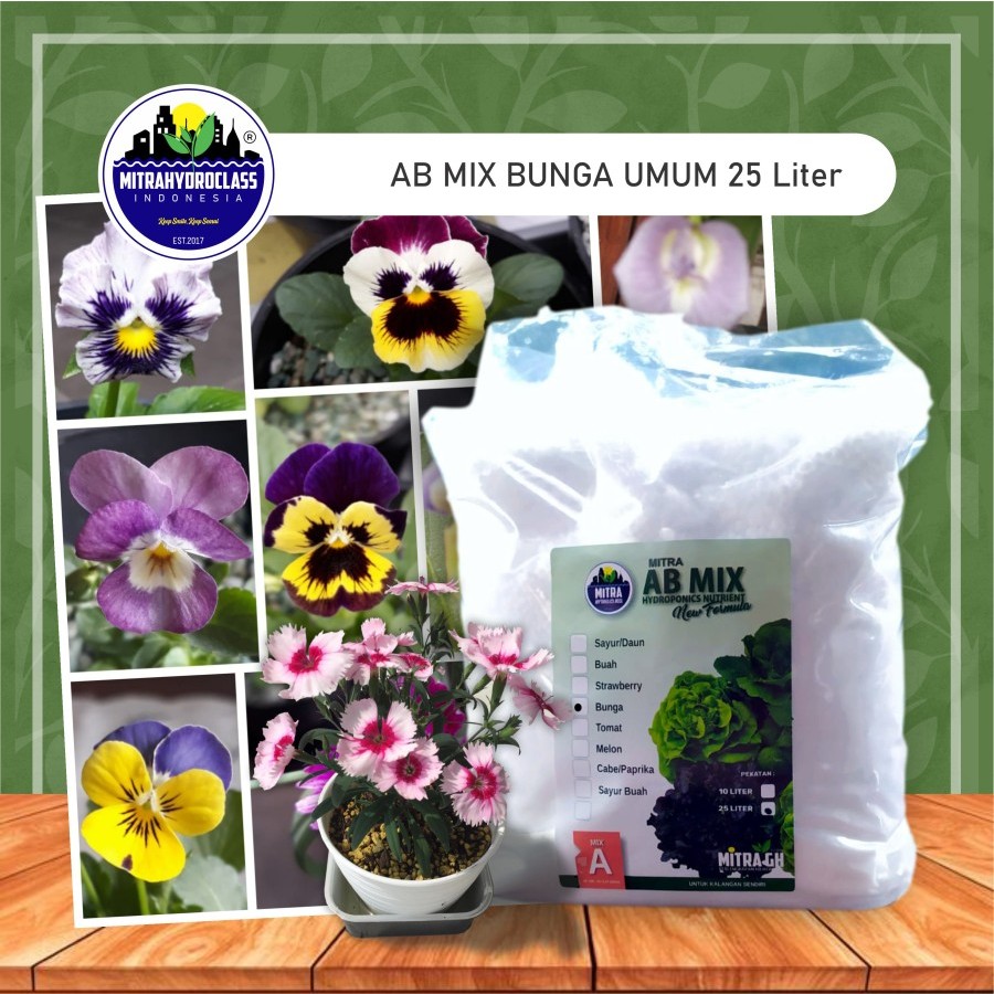 Jual Nutrisi Hidroponik 25L Bunga - AB Mix Mitrahydroclass | Shopee ...