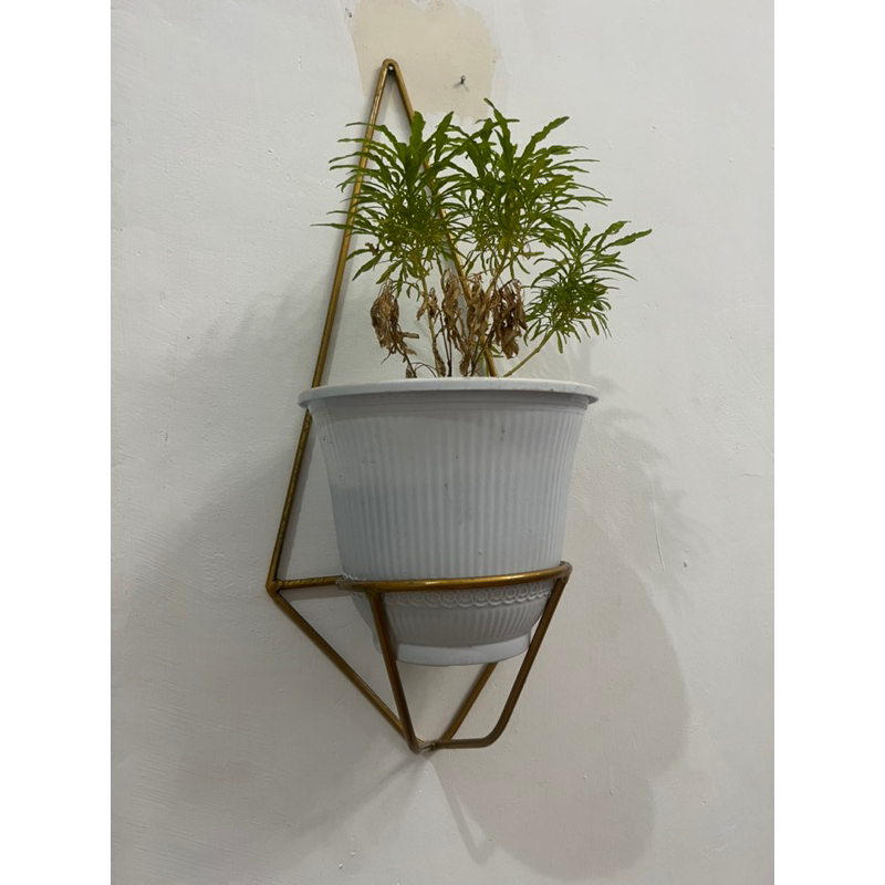 Jual standing pot bunga model tempel (model segitiga) | Shopee Indonesia