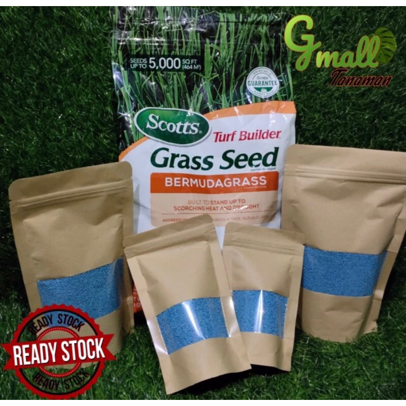 Jual Biji rumput bermuda 250gram - benih bermuda - bibit rumput (bibit ...