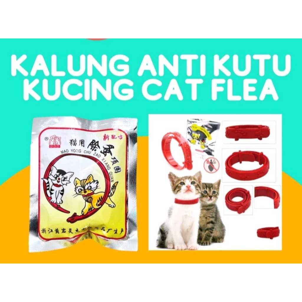 Jual CAT FLEA circle kalung anti kutu kucing mao yong | Shopee Indonesia