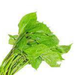 Jual DAUN POH POHAN _ 1 IKAT | Shopee Indonesia