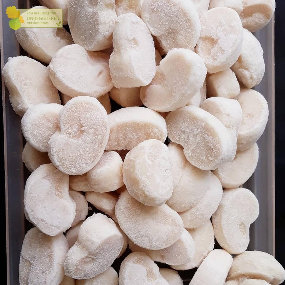 Jual Scallop Kerang Daging Kerang Kapak Segar Premium 1Kg | Shopee ...