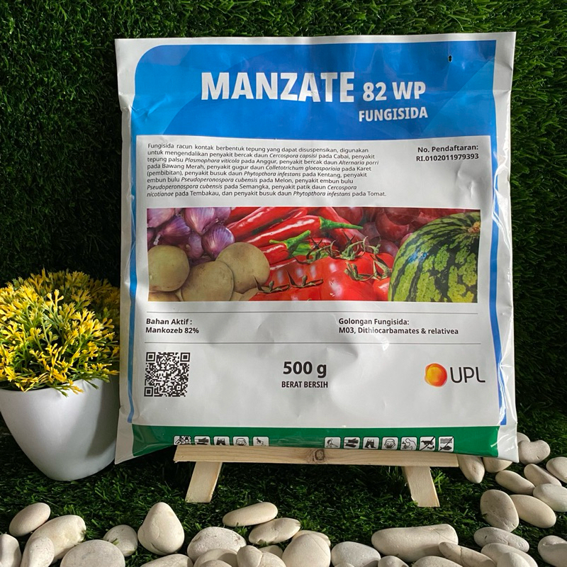 Jual MANZATE 82 WP 500gr - Fungisida | Shopee Indonesia