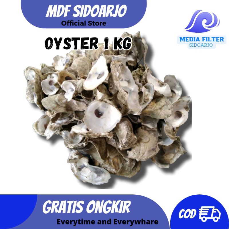 Jual cangkang Kulit Kerang Oyster Oister Media Filter Kolam Akuarium 1 Kg | Shopee Indonesia
