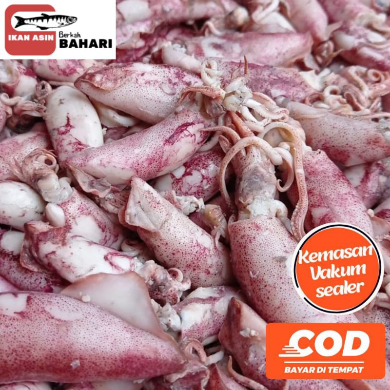 Jual ikan asin cumi asin jumbo 250gr. cumi asin rebus jarum ukuran ...