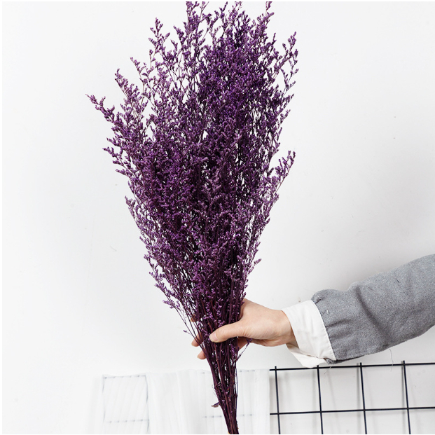Jual 1 ikat Limonium Caspea Bunga Kering Dried Flower Bunga | Shopee ...