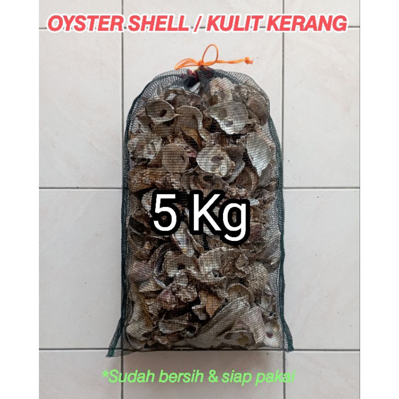 Jual OYSTER SHELL / KULIT KERANG Kemasan 5 Kg | Shopee Indonesia