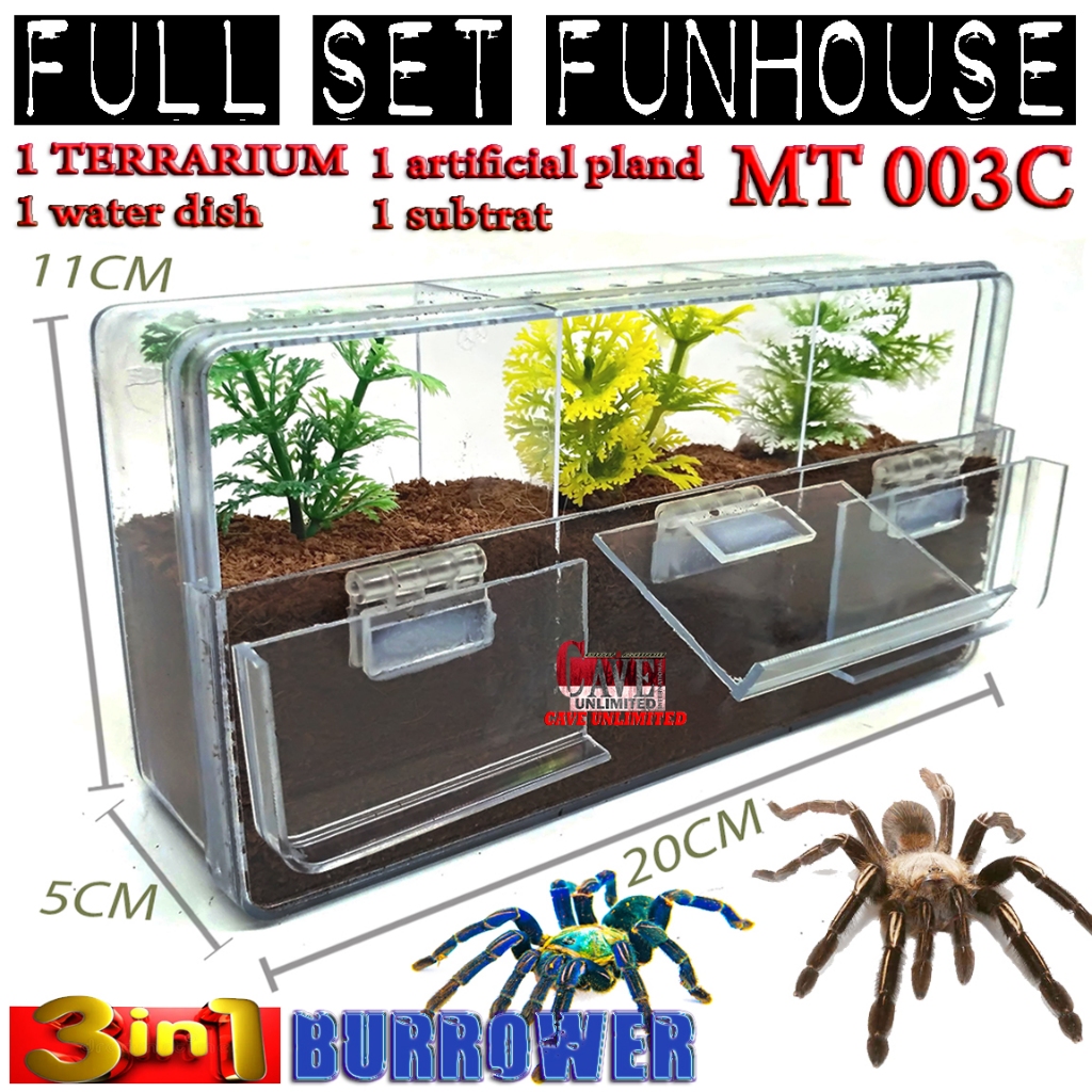 Jual MT003C TERRARIUM MINI TARANTULA BURROW ARBOREAL TERRESTRIAL PAKET ...
