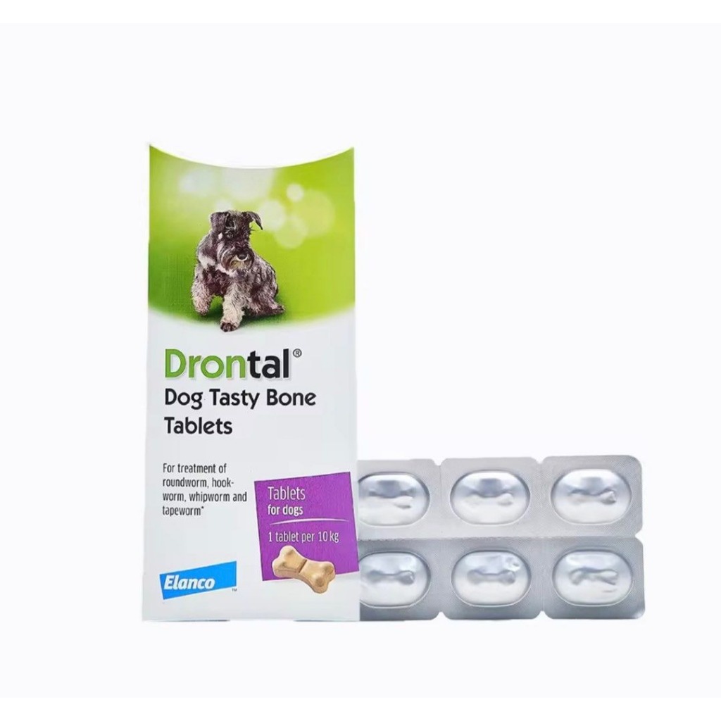 Jual Bayer Drontal Plus Dog Tasty 1 Tablet - Obat Cacing Anjing - PSI ...