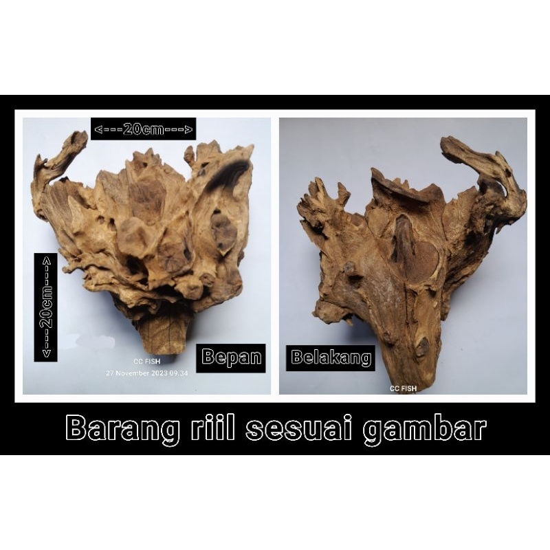 Jual kayu rentek | Shopee Indonesia