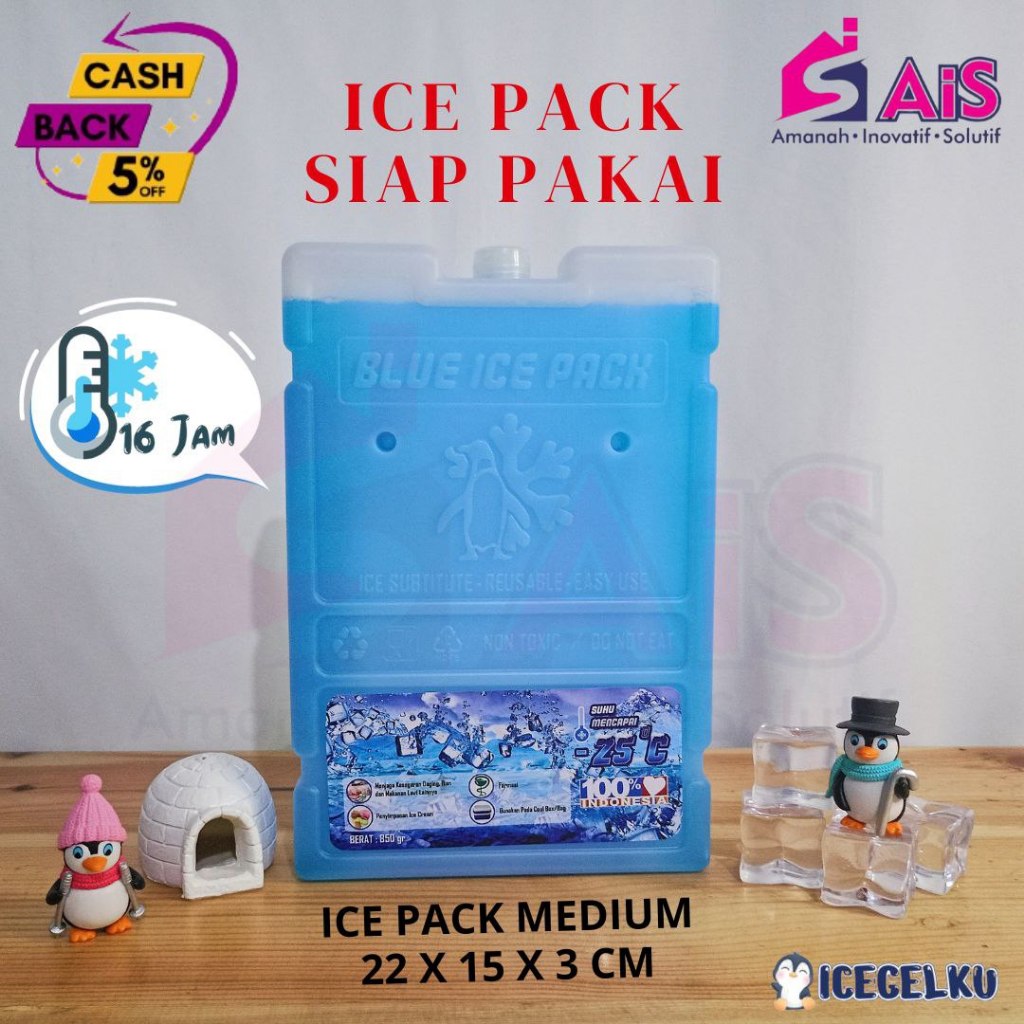 Jual ICEGELKU ICE PACK MEDIUM 22x15cm ICE PACK SIAP PAKAI ICE GEL PACK ...