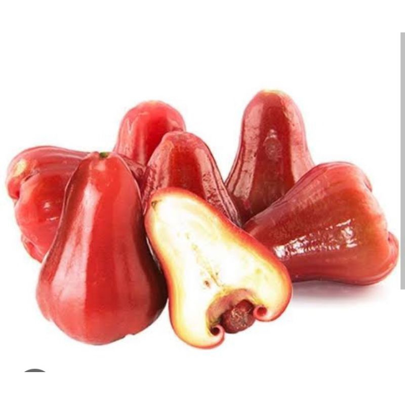 Jual JAMBU AIR CITRA PER KG SAYUR SEGAR PALEMBANG | Shopee Indonesia
