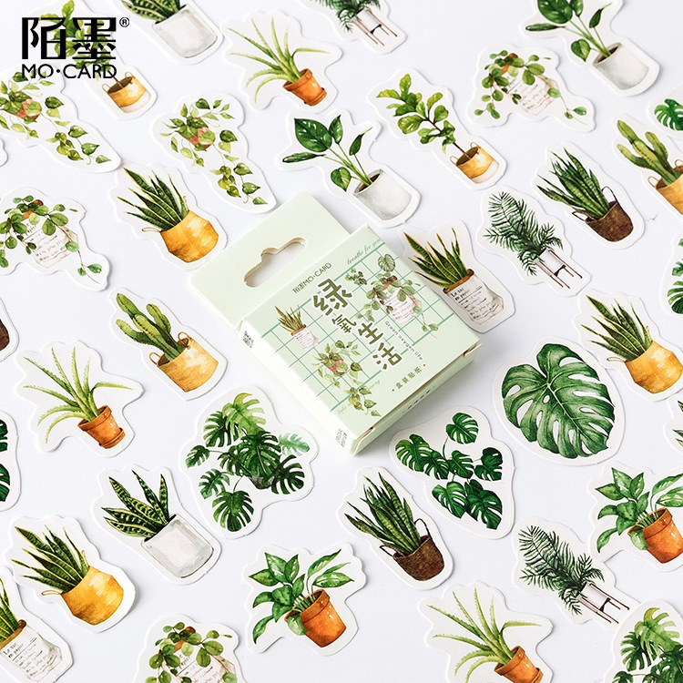 Jual 【MAPLESOL】45 Pcs Sticker Box Succulent Tanaman untuk Bullet ...