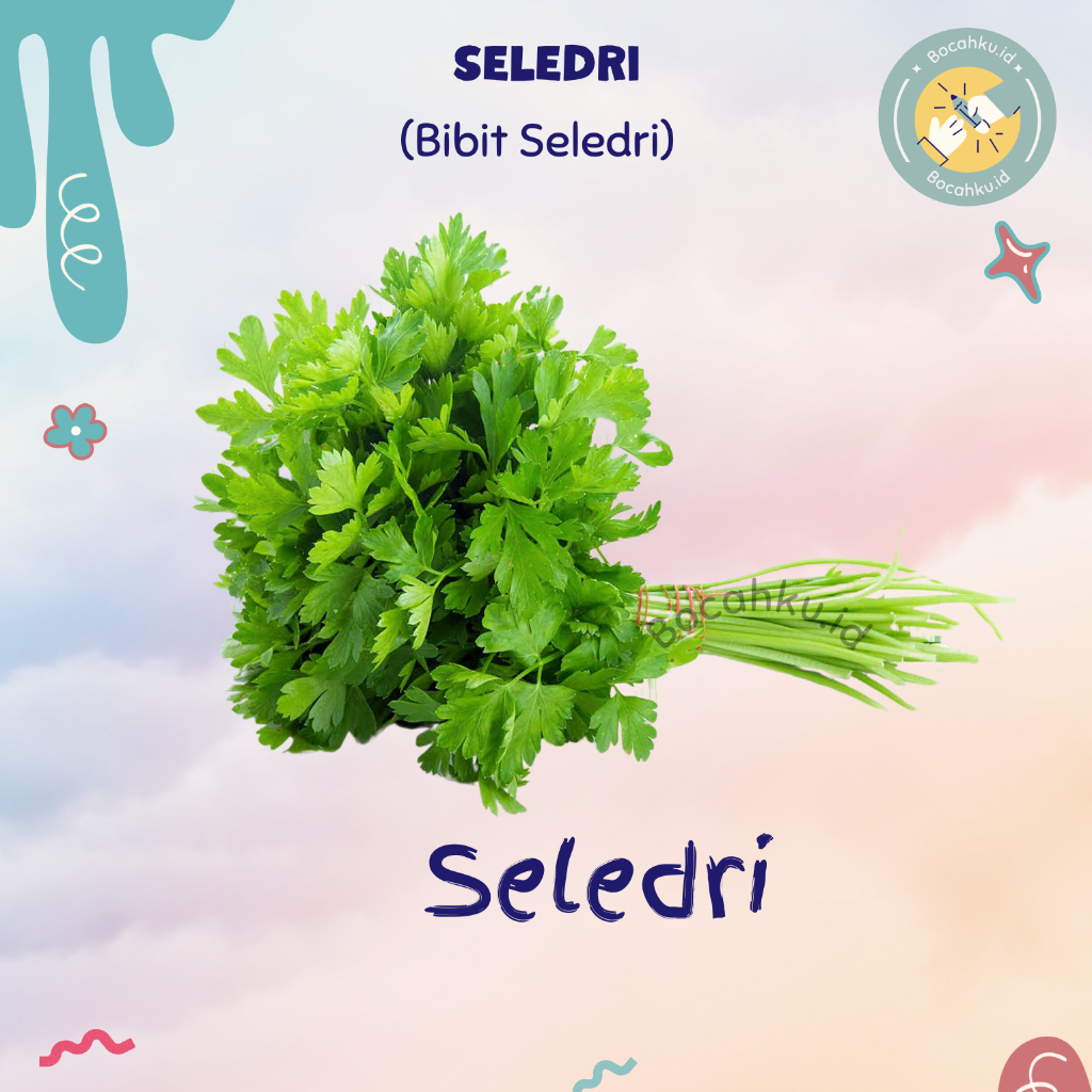 Jual Mainan Edukasi Planting Gardening Growing KIT Montessori Paket ...