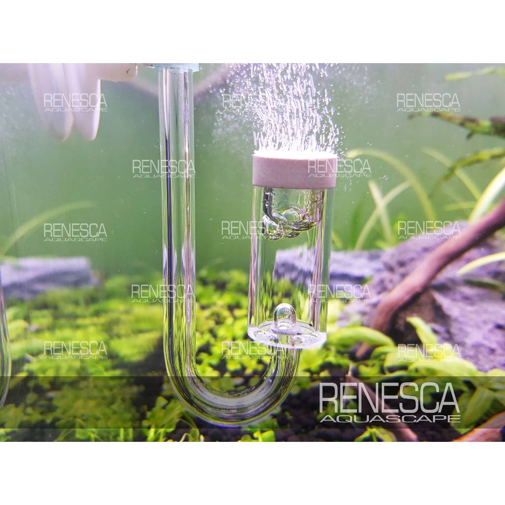 Jual Bray Deep Ceramic Diffuser Co2 Handmade - Atomizer Aquascape | Shopee Indonesia
