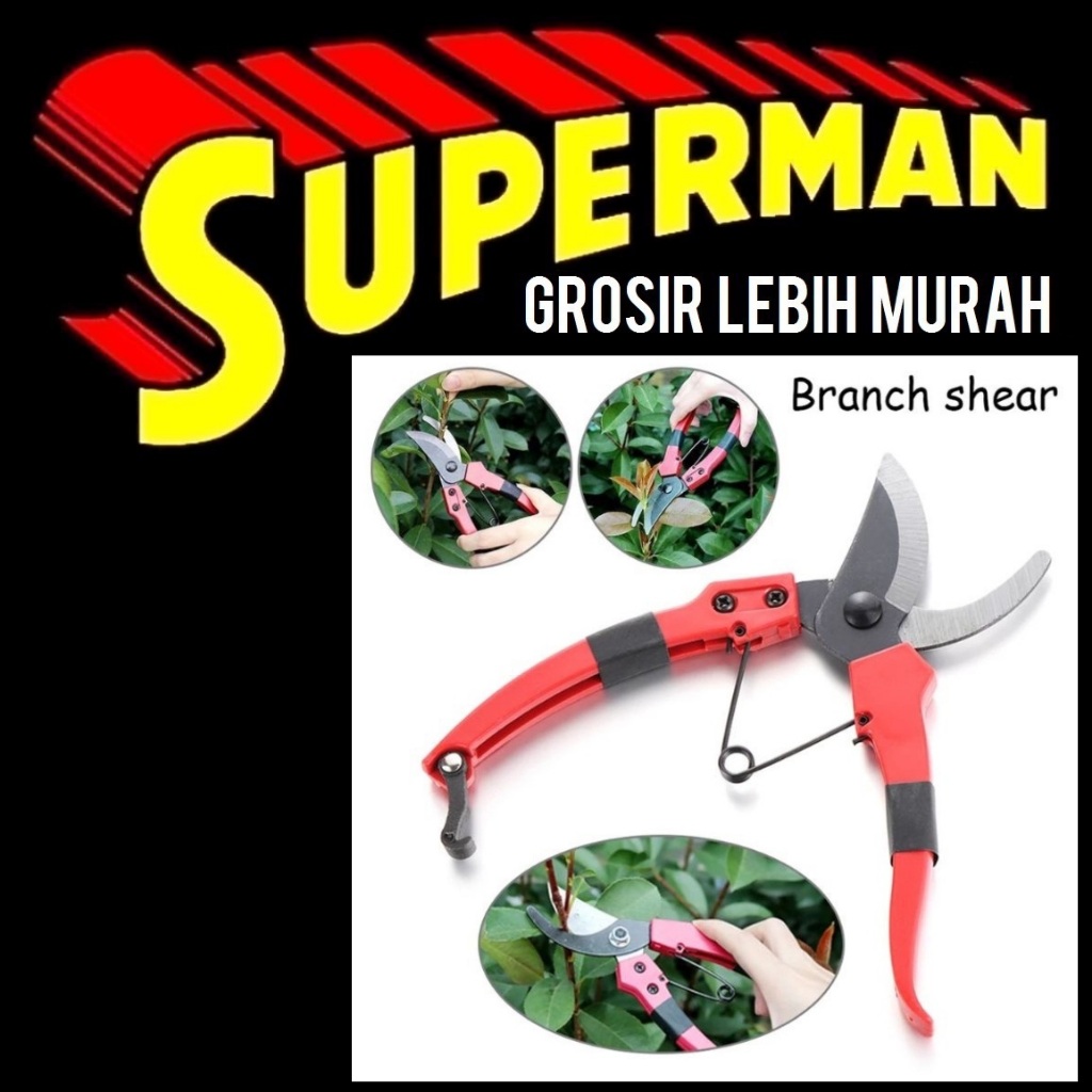 Jual TANG DAHAN STANDAR gunting rumput dahan dan ranting pruning bonsai ...